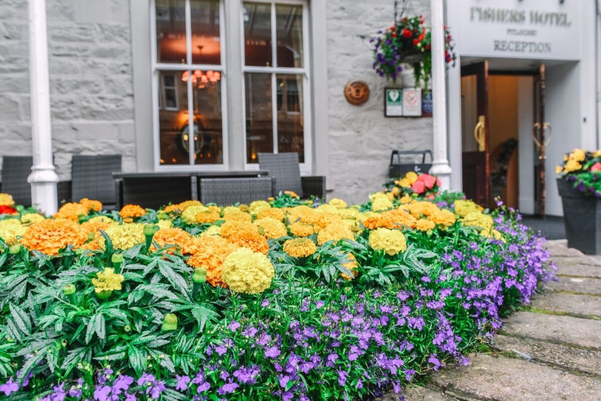 Spring Breaks Scotland | Spring Hotel Deals | Fisher's Hotel Pitlochry